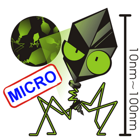 Microsheep - KKTIX