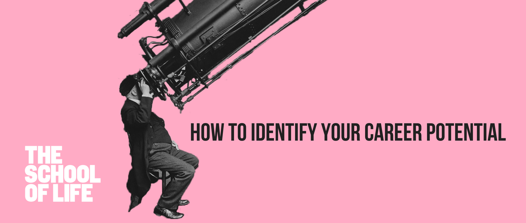 How to Identify Your Career Potential / 工作的新可能：你不曾發現的自己