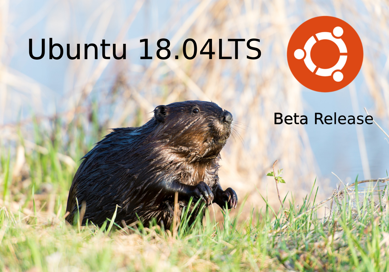 Ubuntu 18.04 First beta release 測試大會 @ 台南成功大學